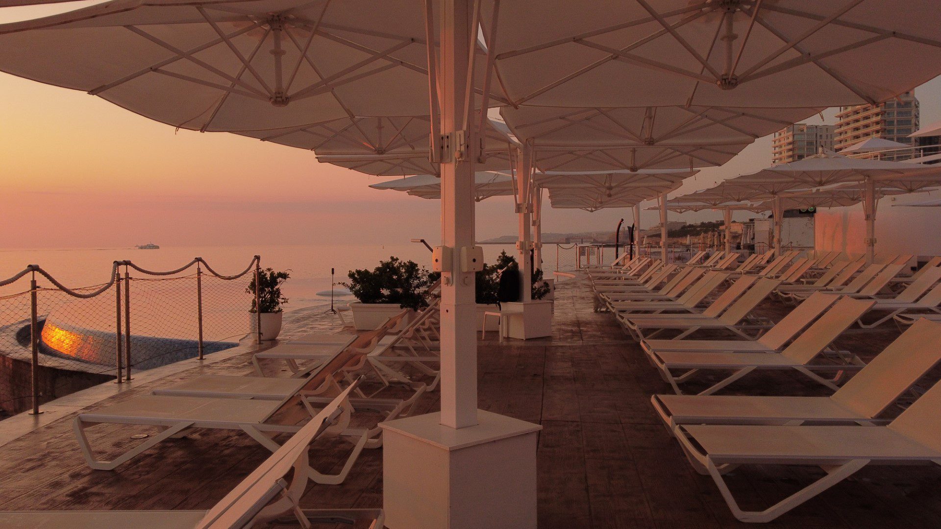 1926 Beach Club: 2021 edition - Brands International Ltd Official Website