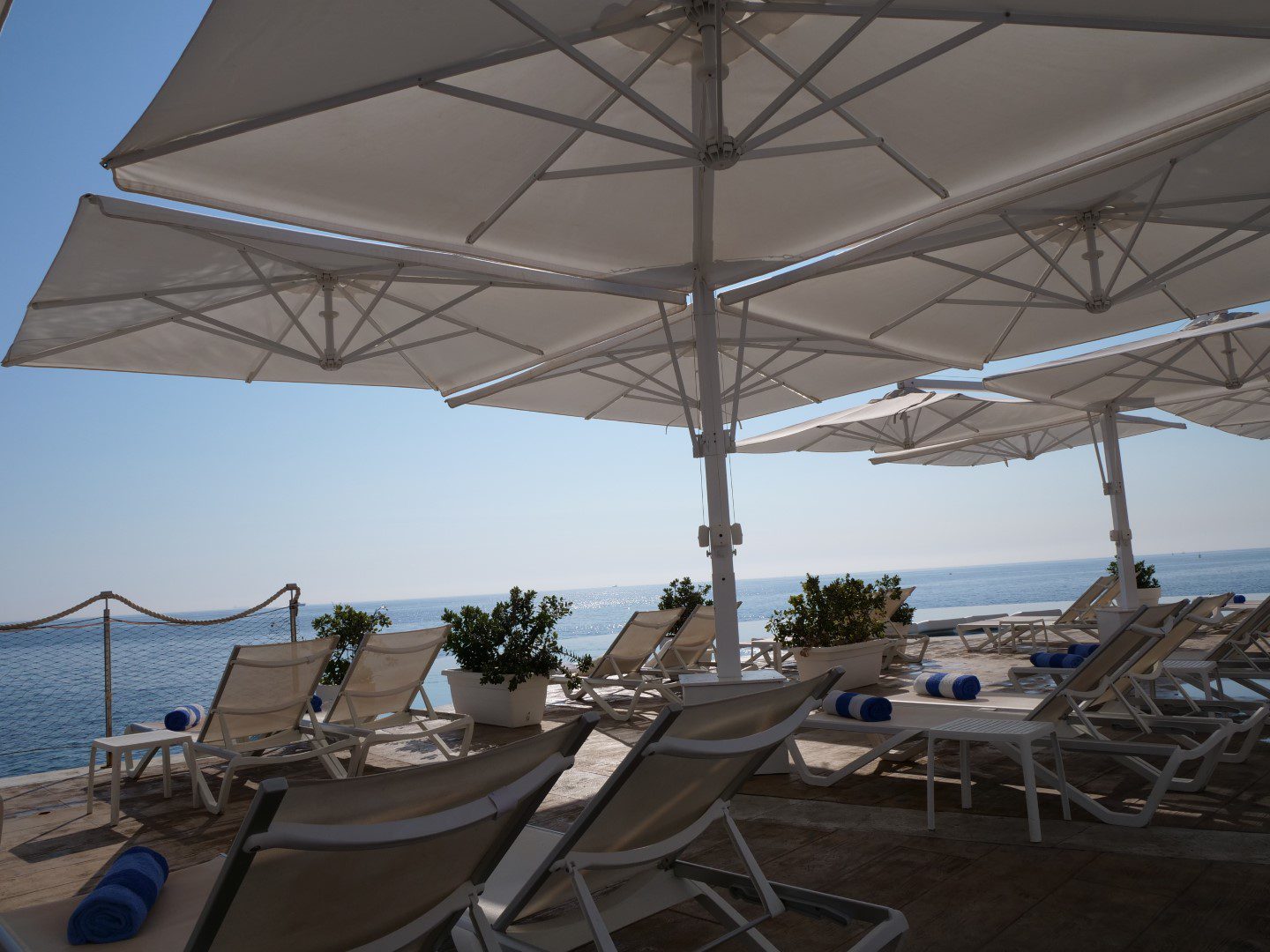 1926 Beach Club: 2021 edition - Brands International Ltd Official Website